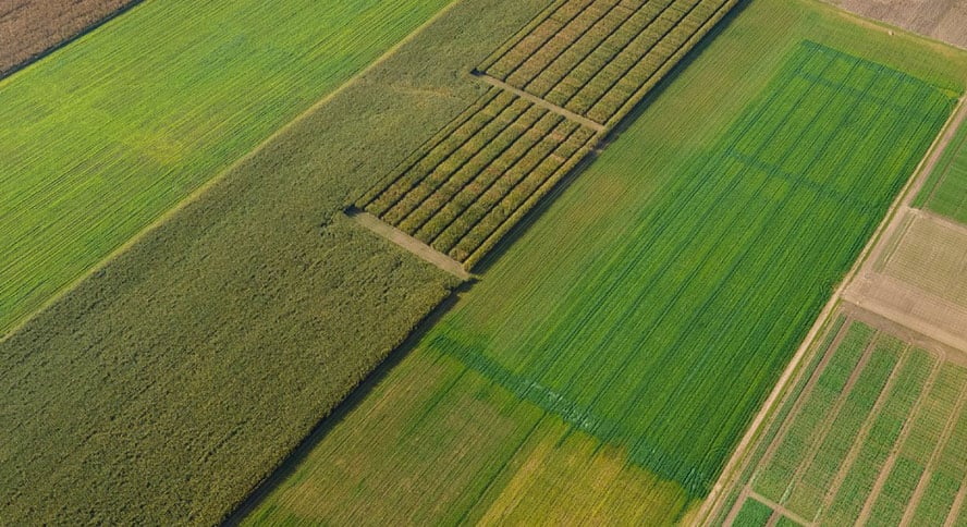 One moment, please...