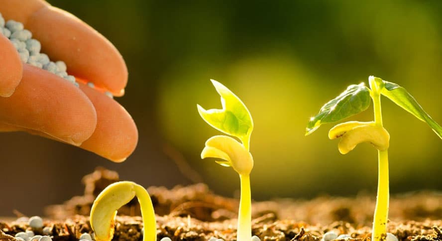 Open Data for Better Crop Nutrition: How Agmatix is Transforming ...