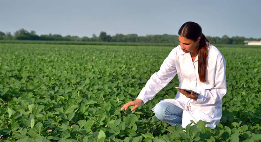 One moment, please...