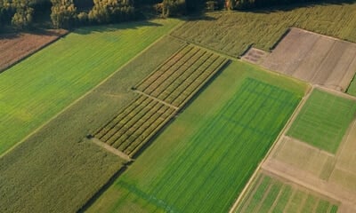 Trial and Error: Navigating Agricultural Trials with Biologicals - Agmatix