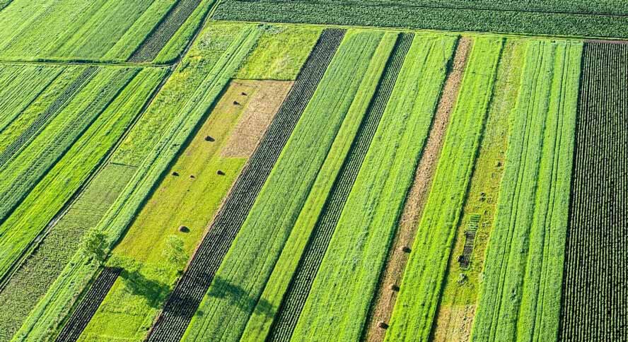 The 3 C’s of Field Trials: Collaboration, Collection, Compliance - Agmatix