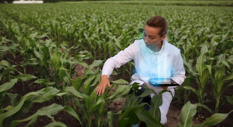 Embracing Next-Gen Tools: Transforming Field Trial Management for Agronomists