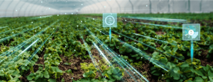 Crop Modeling and simulation tools in Agriculture | Agmatix