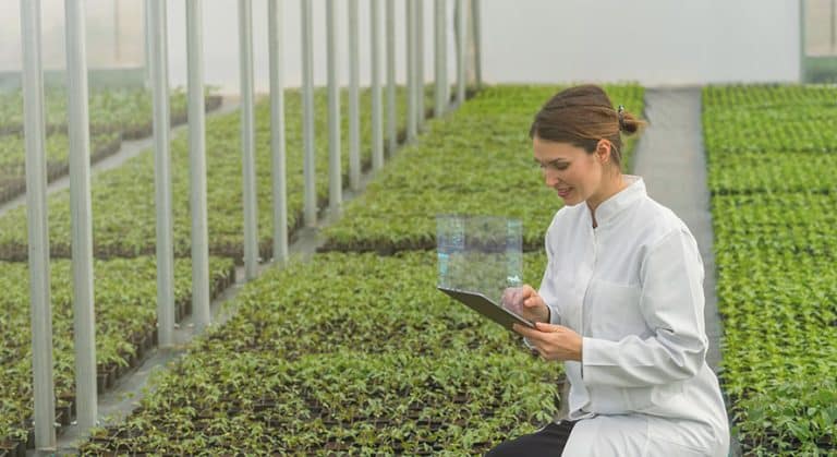 Growing Smarter: How AI and Generative AI Are Transforming the Future ...